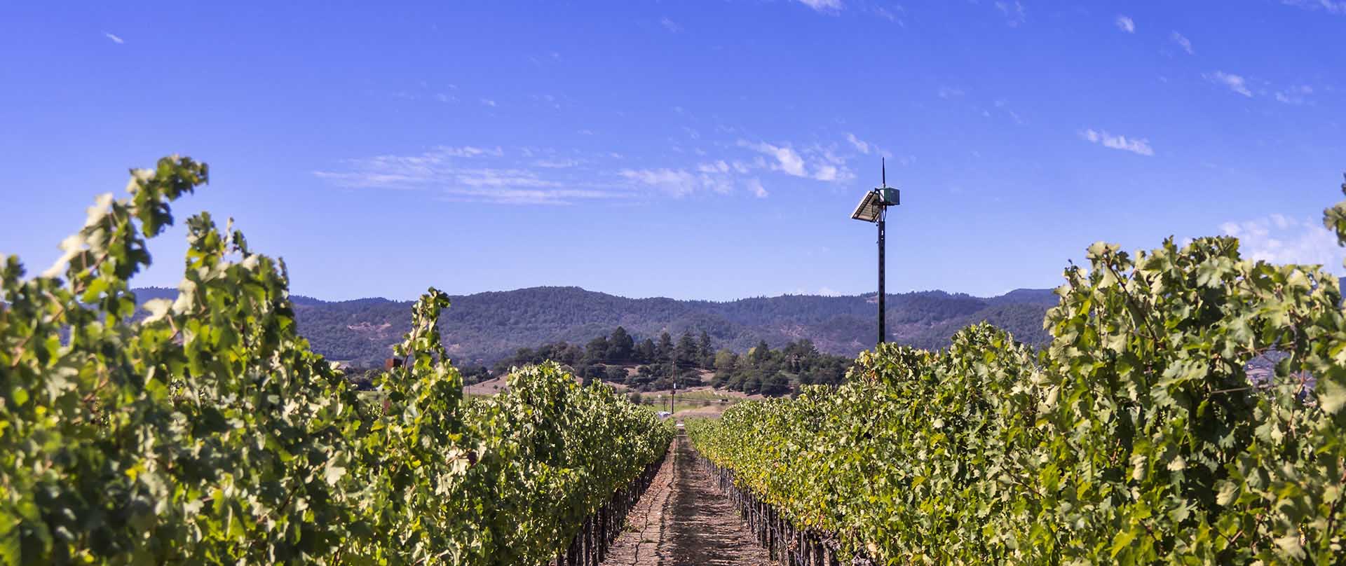 Inicio - Ranch Systems Iberica